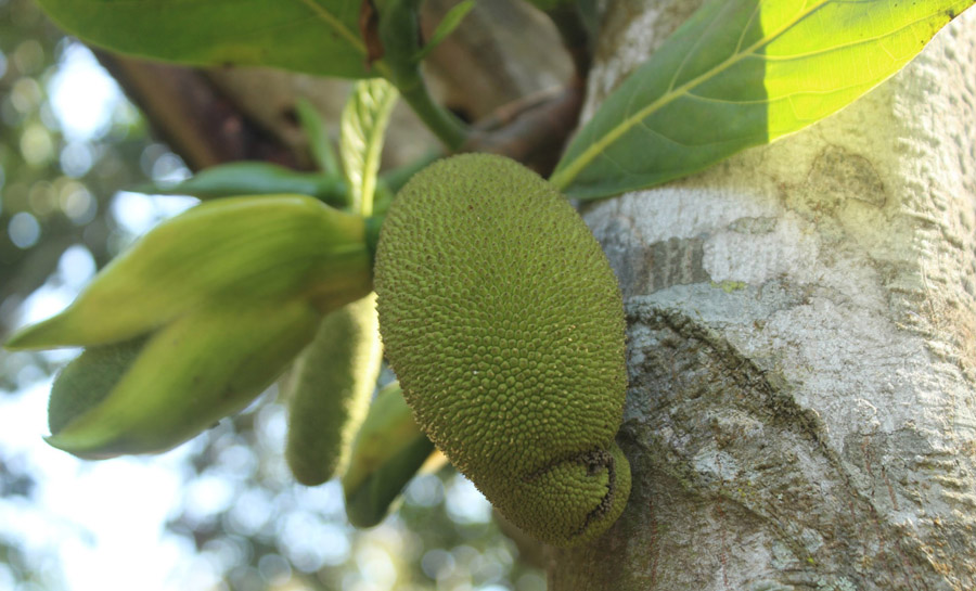 Finance News: Latest Financial News, Finance News today in Bangladesh