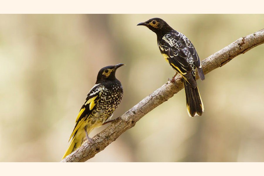 Finance News: Latest Financial News, Finance News today in Bangladesh