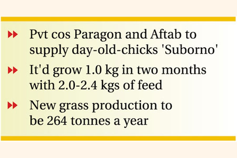 Finance News: Latest Financial News, Finance News today in Bangladesh