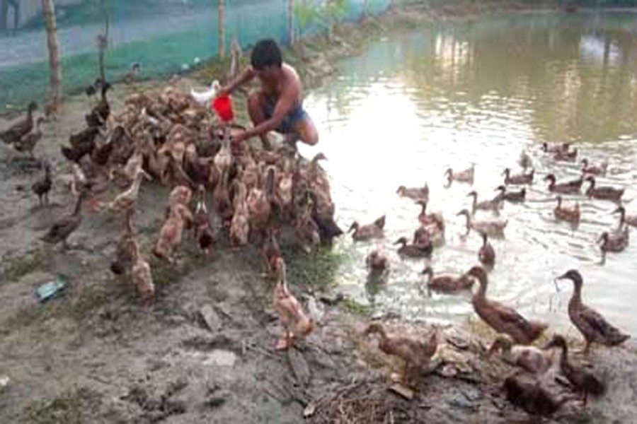 Finance News: Latest Financial News, Finance News today in Bangladesh