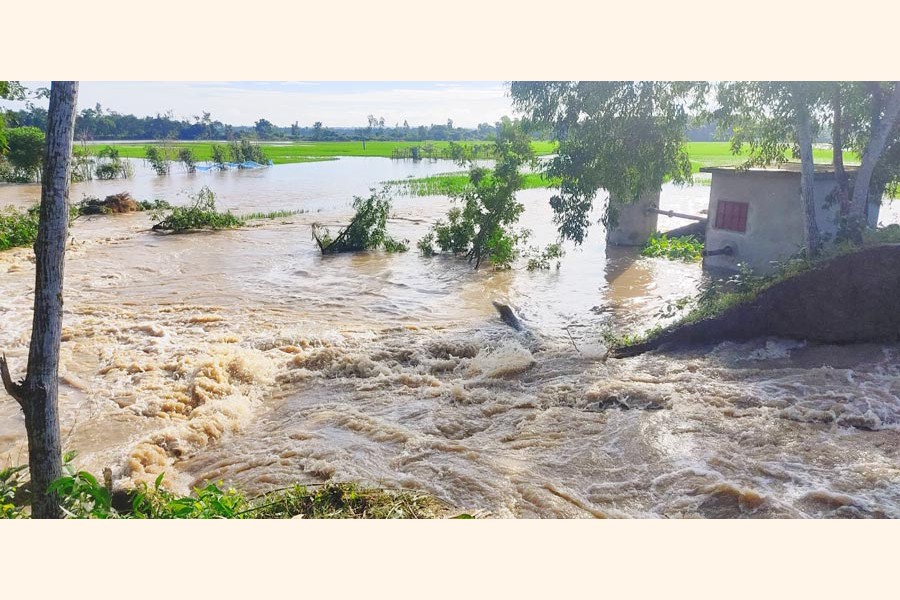 Finance News: Latest Financial News, Finance News today in Bangladesh