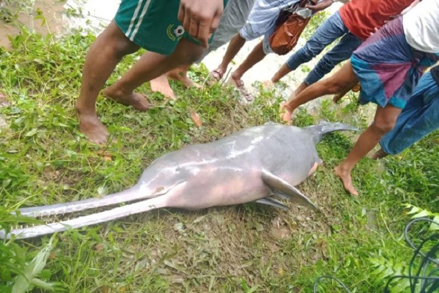 Finance News: Latest Financial News, Finance News today in Bangladesh