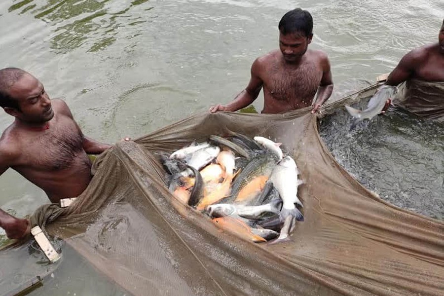 Finance News: Latest Financial News, Finance News today in Bangladesh