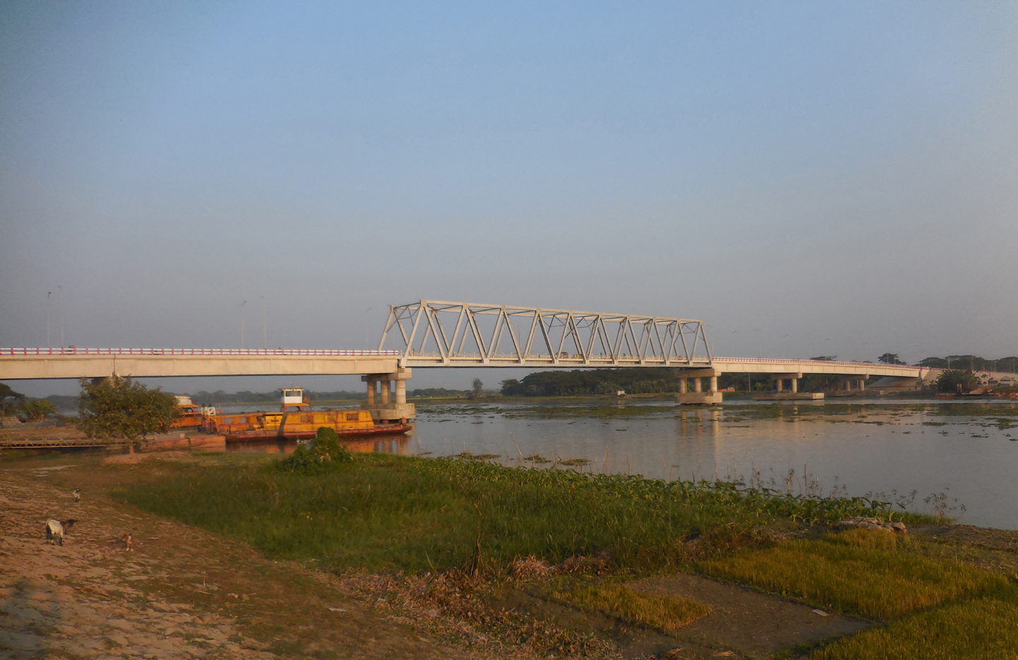 Finance News: Latest Financial News, Finance News today in Bangladesh